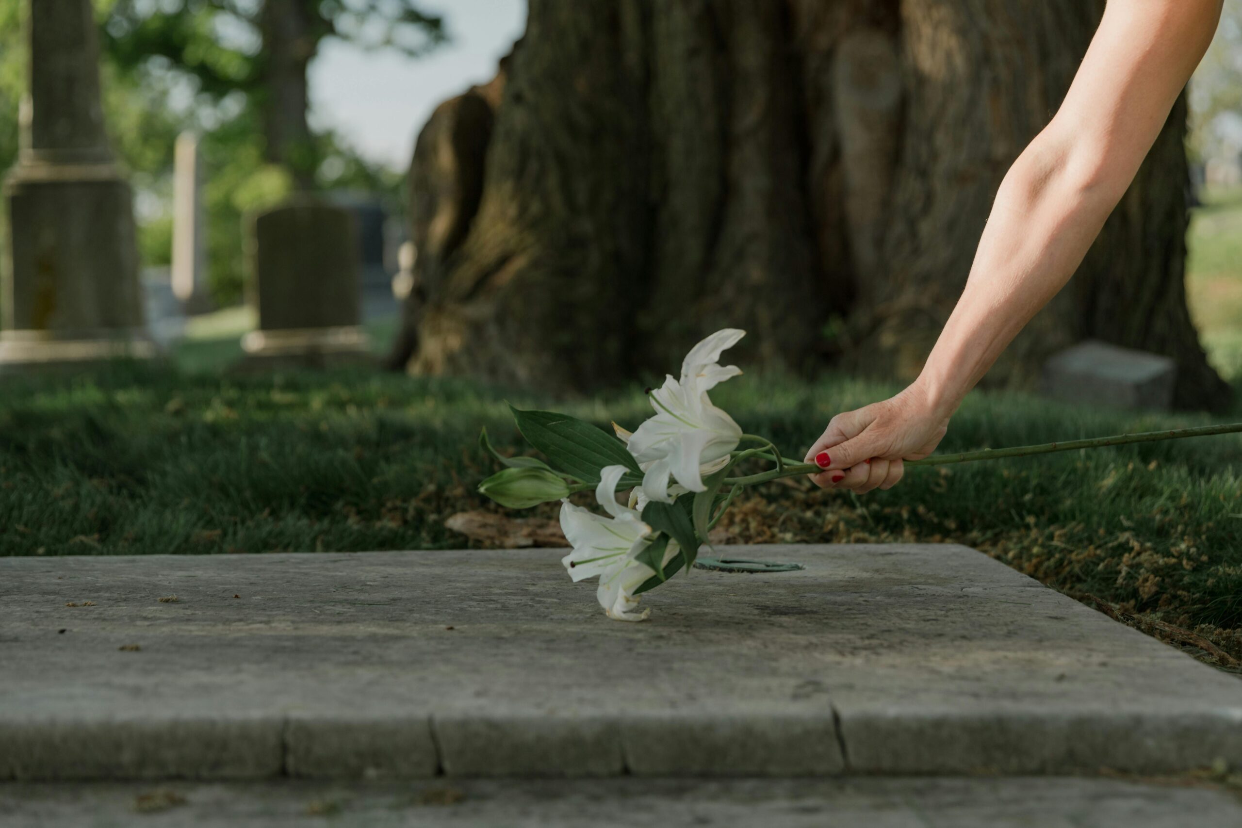 Death of a Founder: Protecting Your Business Assets - Farringford Legal
